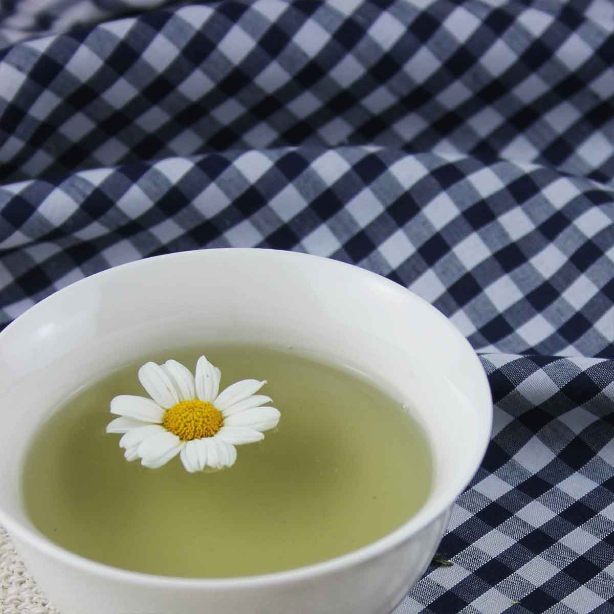 English Country Garden – Camden Tea Shop