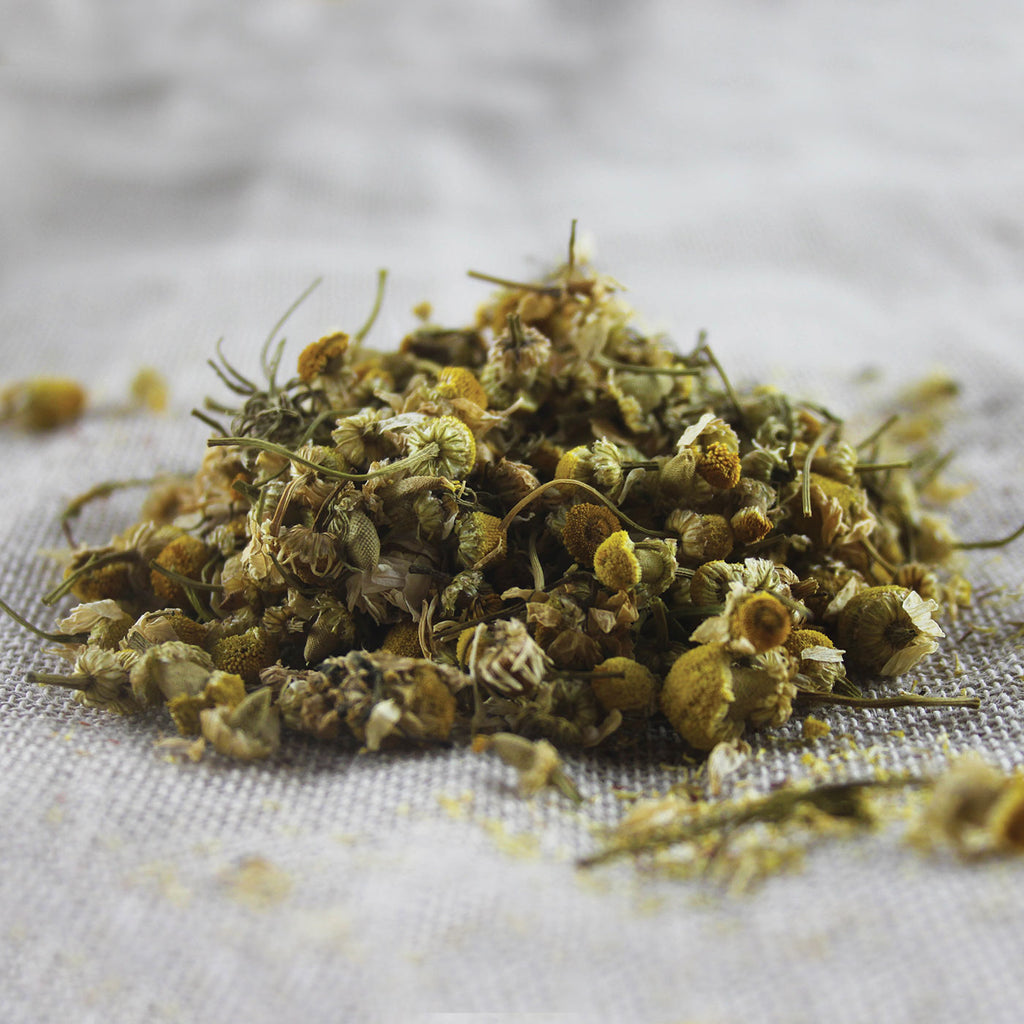 Pure Chamomile – Camden Tea Shop